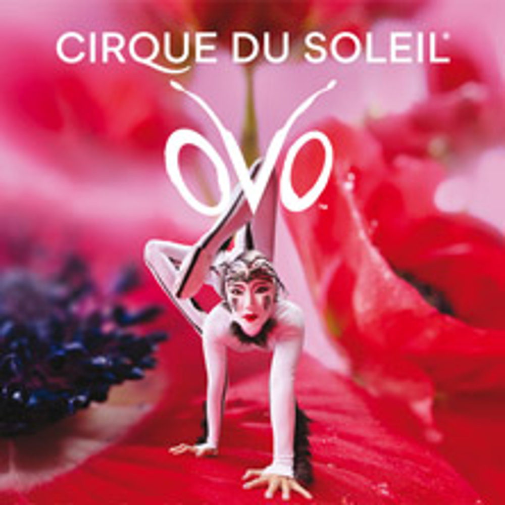 Cirque du Soleil OVO - 22.10.2026 - Salzburg - YourNextStories ...