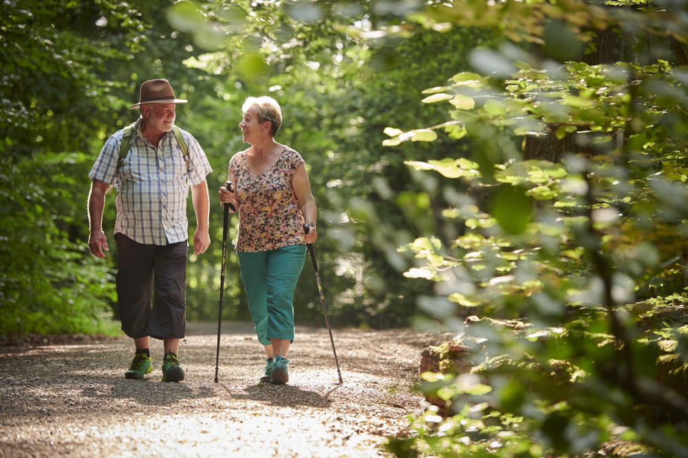 Guided hike in the region - 26.04.2025 - Radolfzell am Bodensee ...