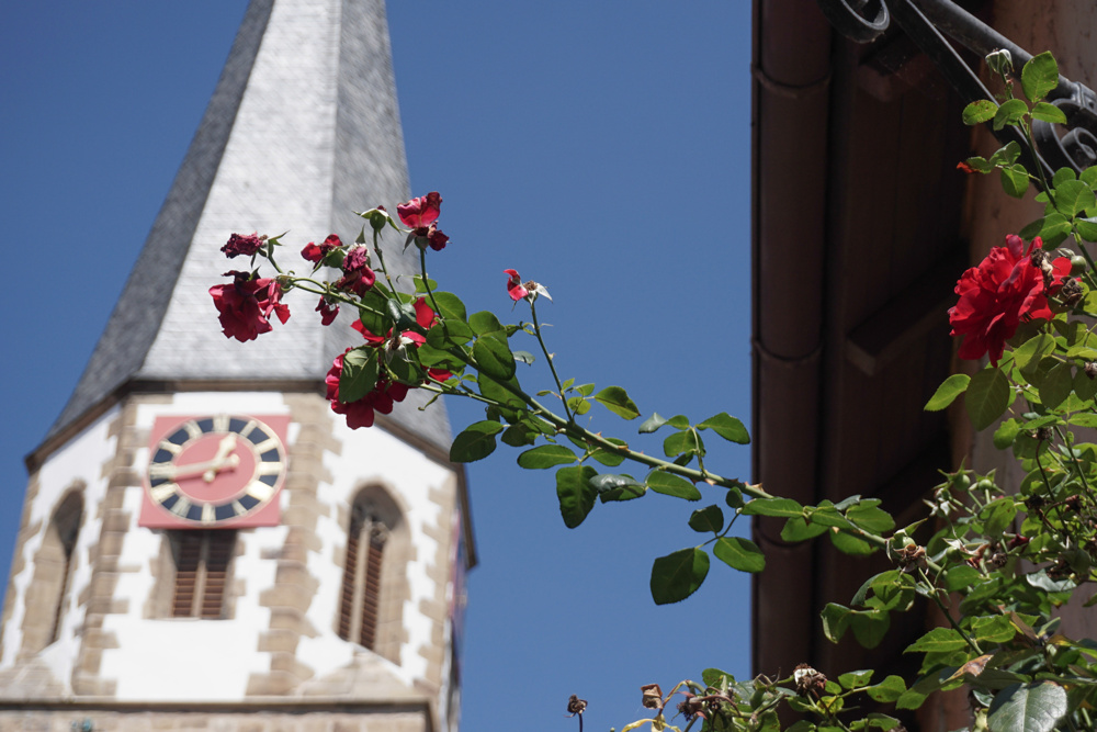Christmas Oratorio - 14.12.2025 - Brackenheim - YourNextStories ...