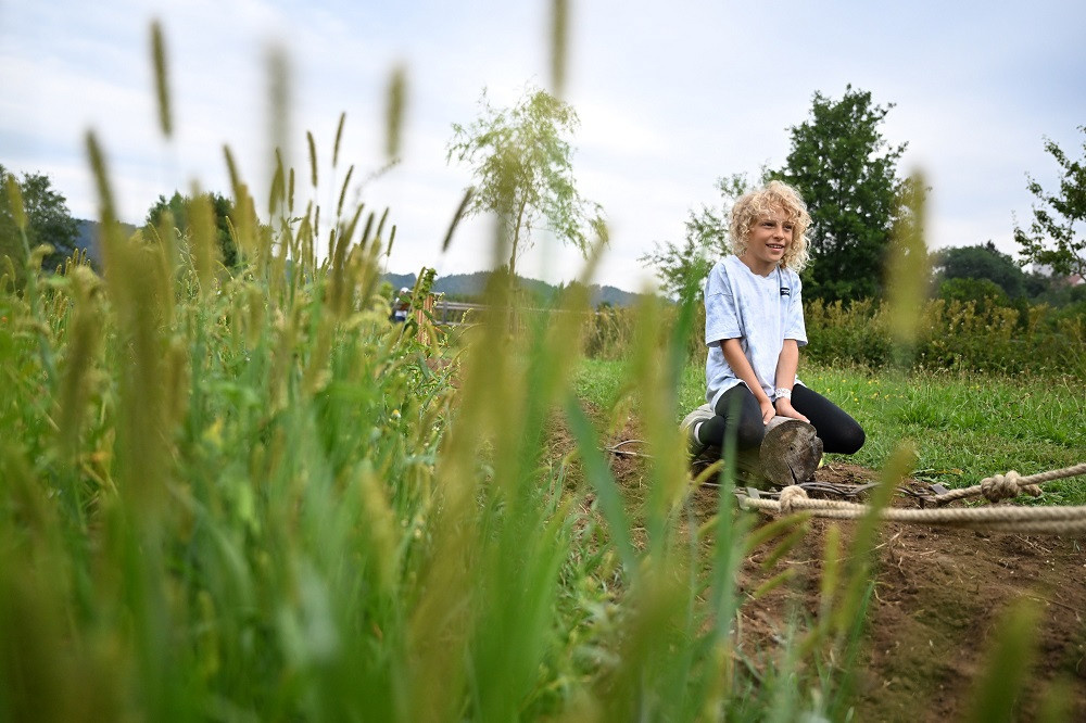 Öffentliche Führung Kindheit auf dem Land - 14.05.2026 - Wolfegg ...