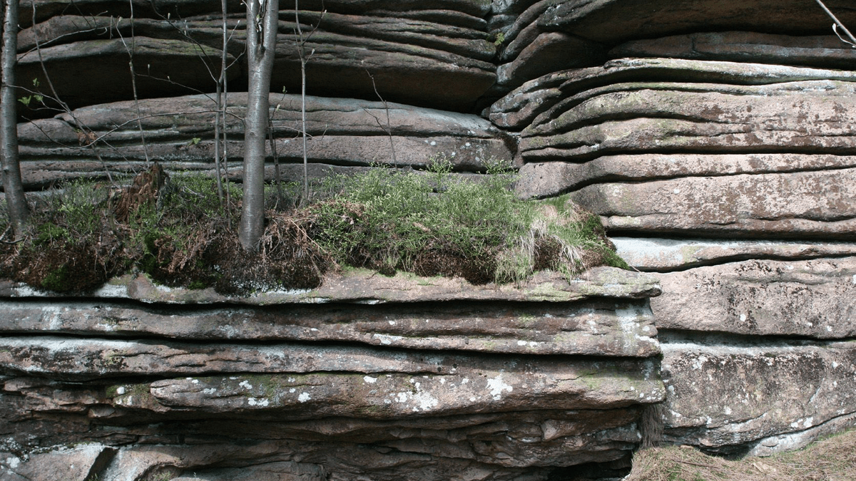 A glimpse inside – on the road with the geologist - 18.08.2024 ...