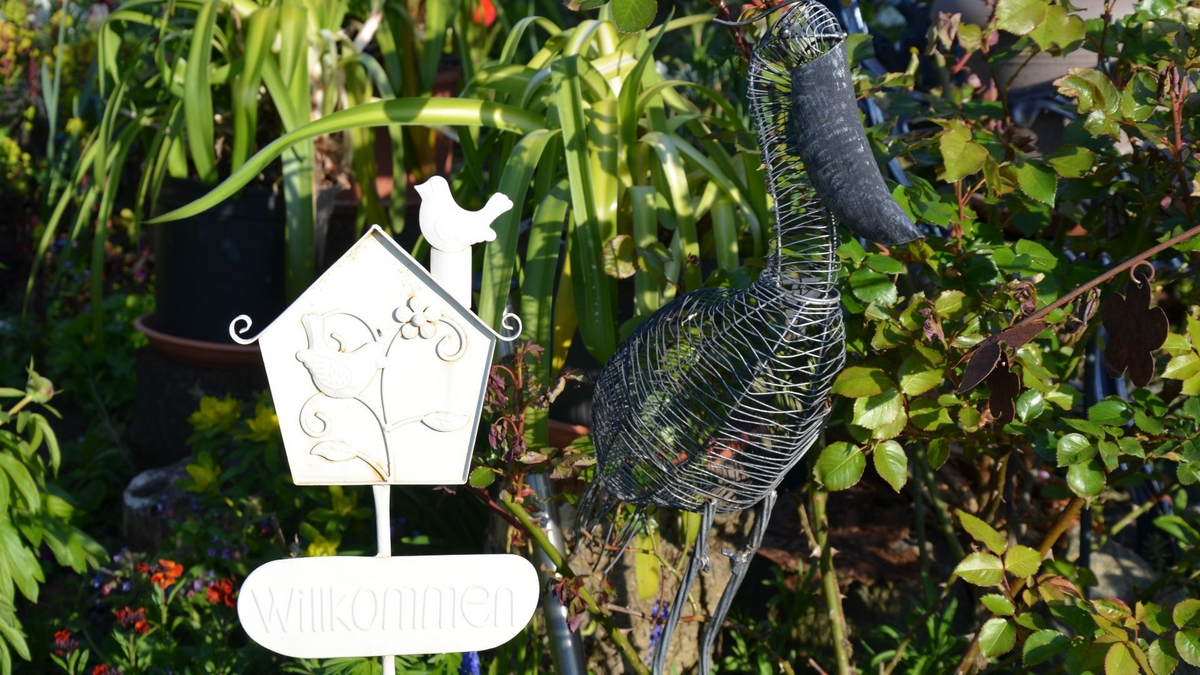 Up! The church - The pianist opens the church! - 26.02.2026 ...