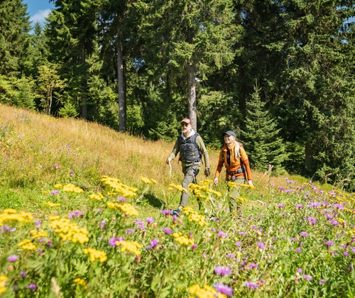 123rd German Hiking Day from September 24 to 27, 2026 in the spa town ...