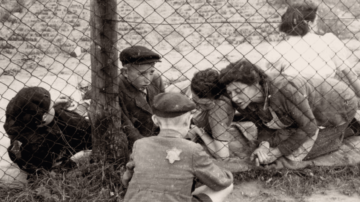 81 years of liberation of the Auschwitz concentration camp - 27.01.2026 ...