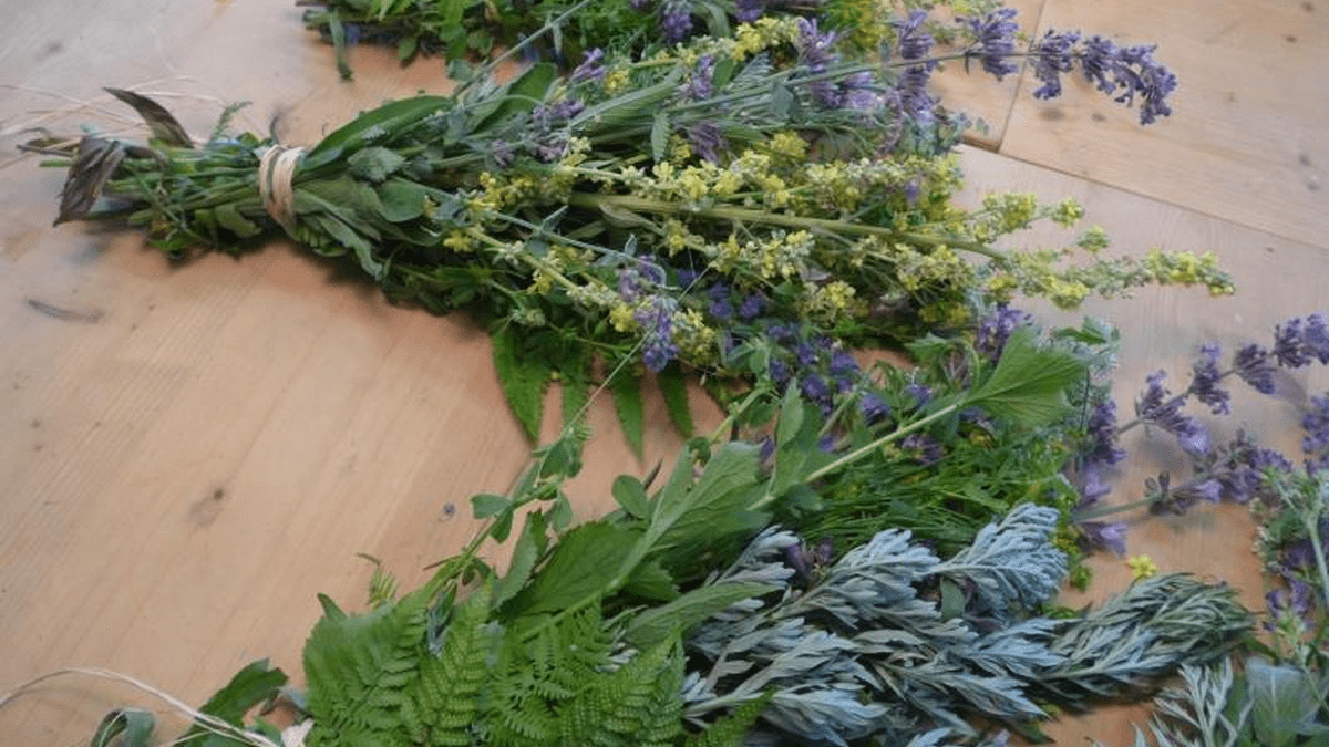 Kräuterzauber im Jahreskreis - Der Johanniskräu - 26.06.2026 ...